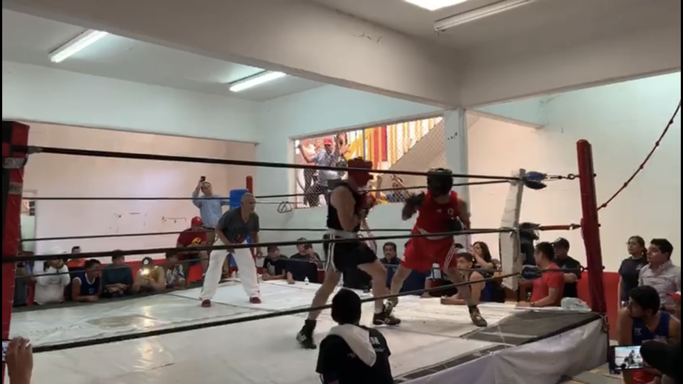 Pelea presidente del IEEG contra vocal del INE… en ring de box